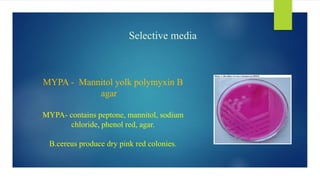 BACILLUS CEREUS.pptx