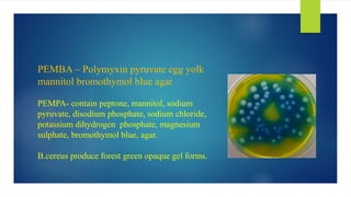 BACILLUS CEREUS.pptx