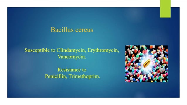 BACILLUS CEREUS.pptx | Chemistry | Science
