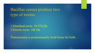 BACILLUS CEREUS.pptx | Chemistry | Science