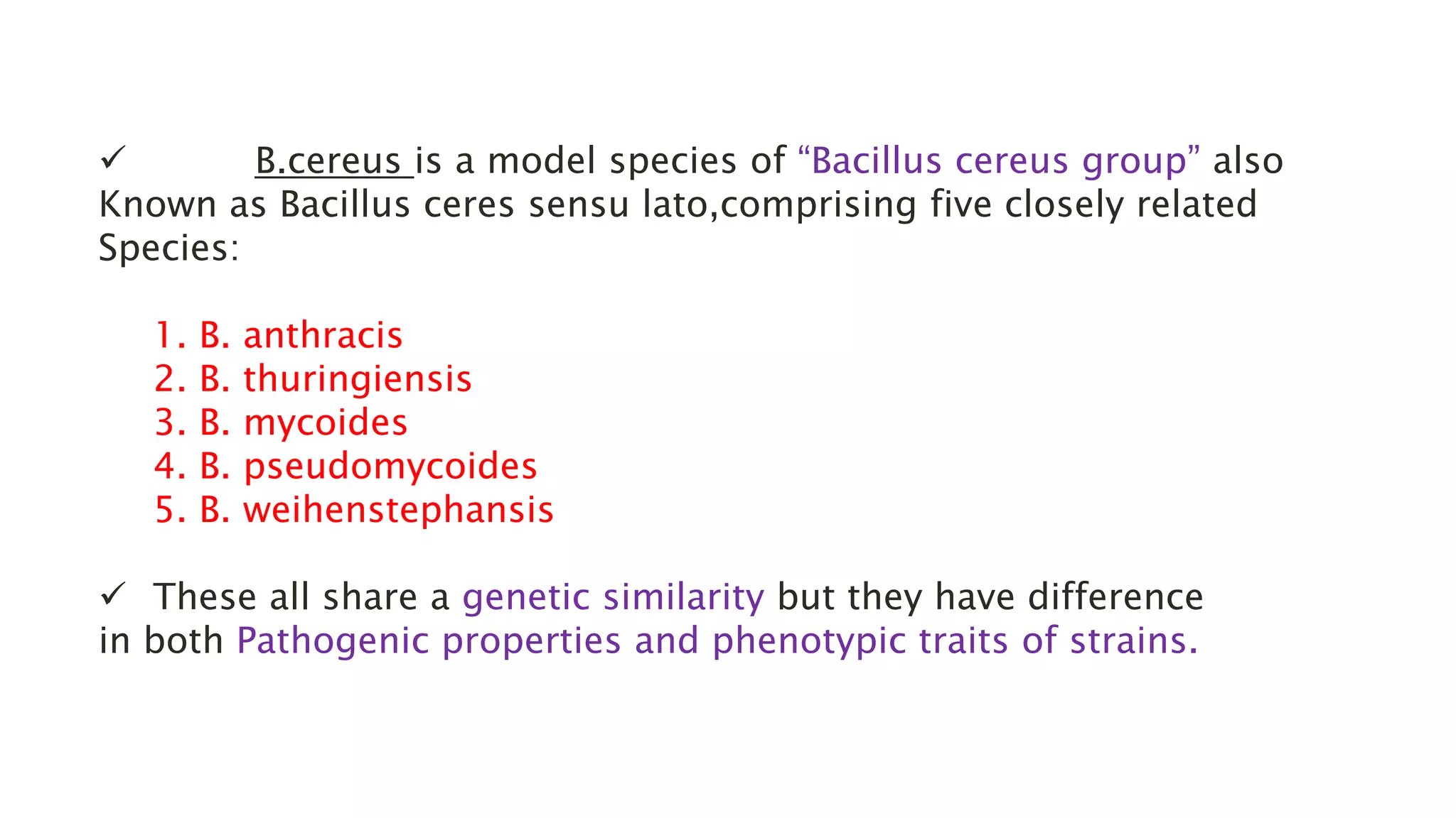 BACILLUS CEREUS.pptx