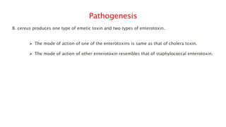 BACILLUS CEREUS.pptx