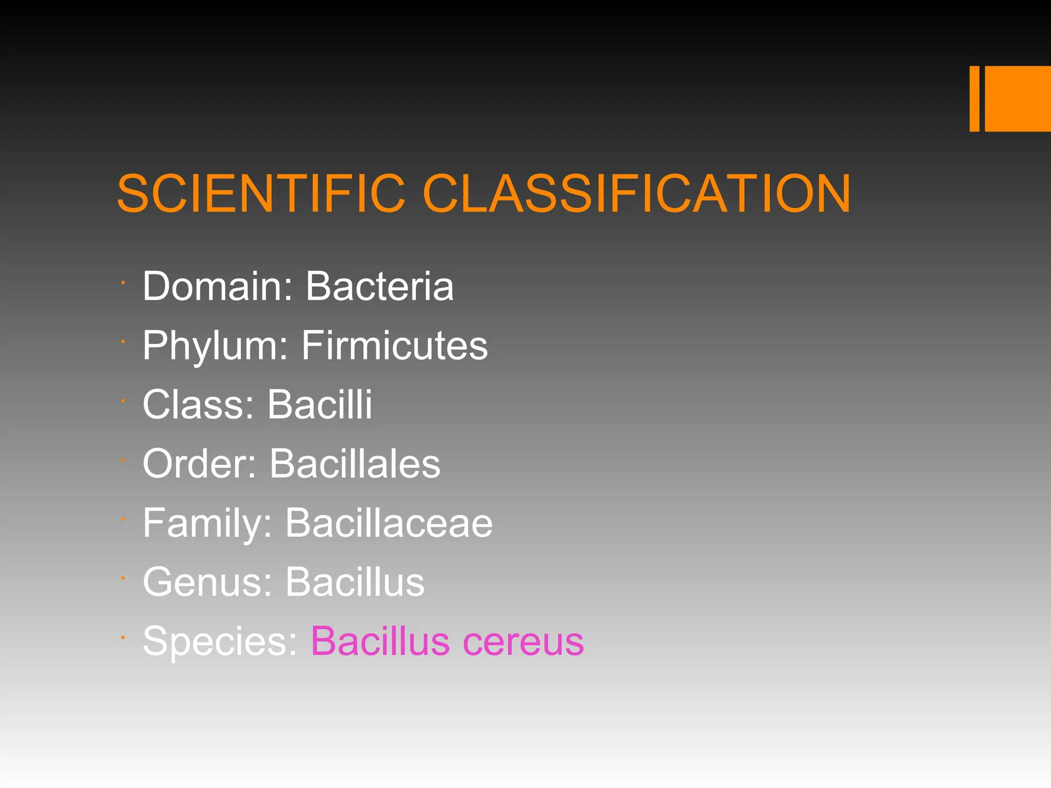 BACILLUS_CEREUS educational microbioolgy.ppt