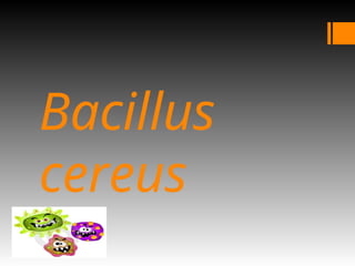 BACILLUS_CEREUS educational microbioolgy.ppt