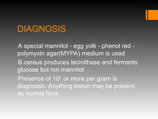 BACILLUS_CEREUS educational microbioolgy.ppt