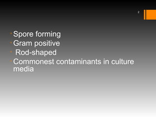 BACILLUS_CEREUS educational microbioolgy.ppt