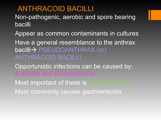 BACILLUS_CEREUS educational microbioolgy.ppt