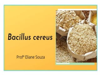 Bacillus cereus 2020 | PPTX