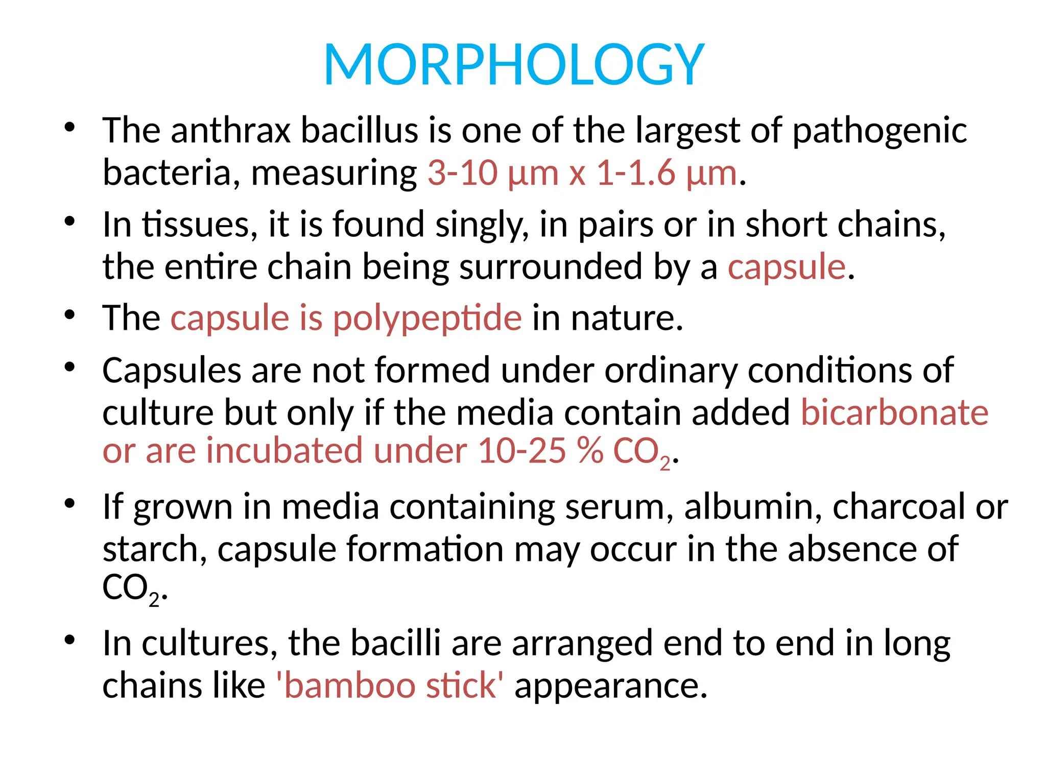 bacillusgp-170124093136.pptx gram negative bacteria | PPTX