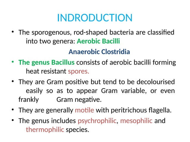 bacillusgp-170124093136.pptx gram negative bacteria | PPT