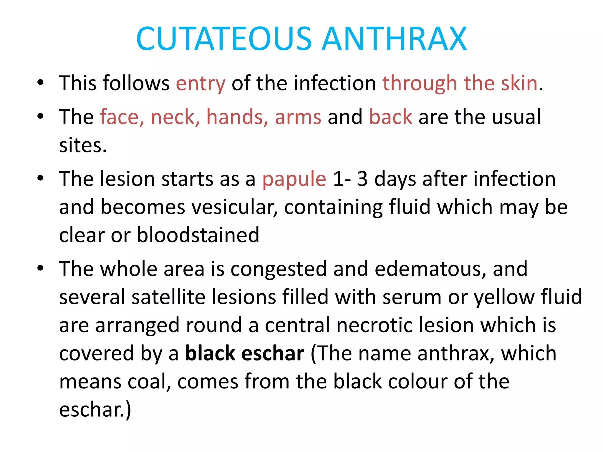 Bacillus | PPTX
