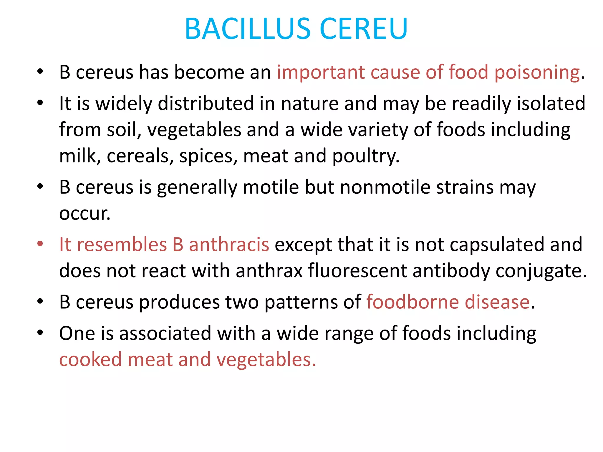Bacillus | PPTX