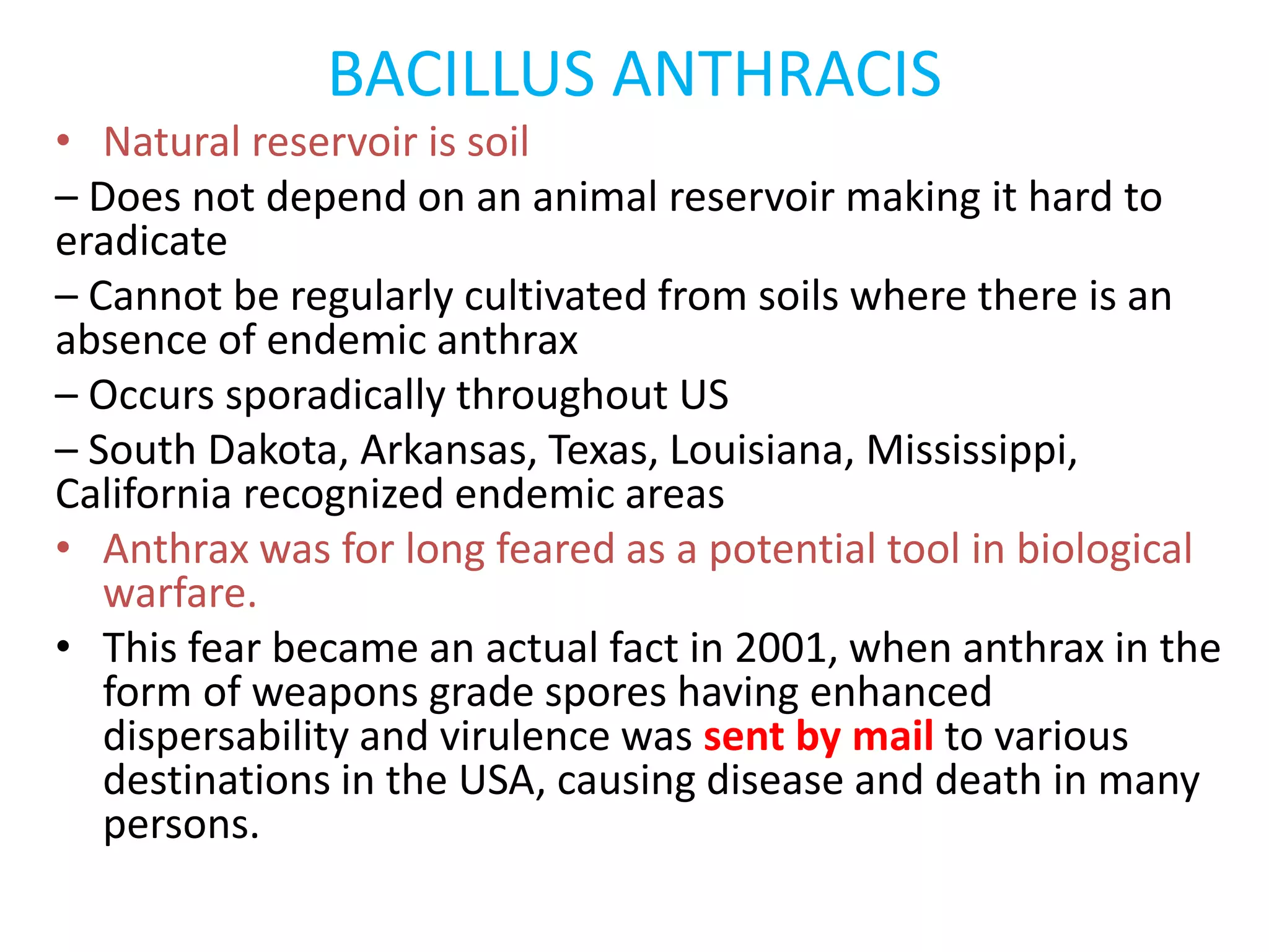 Bacillus | PPTX