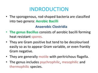 Bacillus Bacteria Diagram