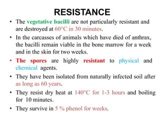 General characteristics of Bacillus anthracis, diagnosis, zoonotic ...