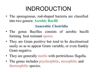 General characteristics of Bacillus anthracis, diagnosis, zoonotic ...