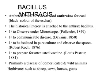 General characteristics of Bacillus anthracis, diagnosis, zoonotic ...