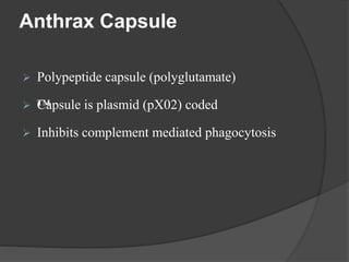 Bacillus & non sporing anaerobes | PPTX