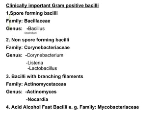 BACILLUS ppt. ppt | PPT | Infectious Diseases | Diseases and Conditions
