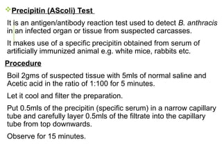 BACILLUS ppt. ppt | PPT