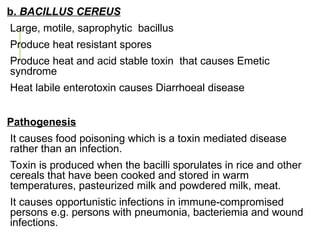 BACILLUS ppt. ppt | PPT | Infectious Diseases | Diseases and Conditions