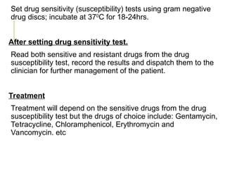 BACILLUS ppt. ppt | PPT | Infectious Diseases | Diseases and Conditions