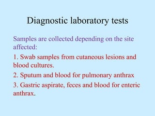 Bacillus spp..ppt....by..ali..rasool.badr
