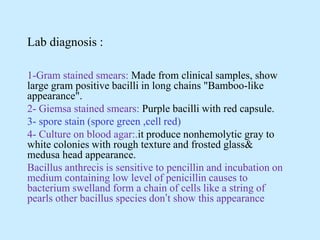Bacillus spp..ppt....by..ali..rasool.badr