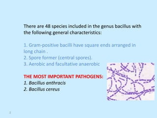 Bacillus spp..ppt....by..ali..rasool.badr