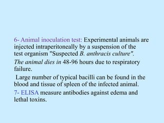 Bacillus spp..ppt....by..ali..rasool.badr