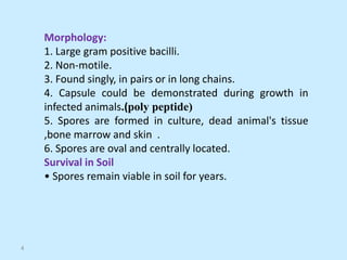 Bacillus spp..ppt....by..ali..rasool.badr