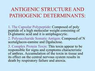 Bacillus spp..ppt....by..ali..rasool.badr