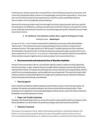 scientific classification of Bacillus Subitils | DOCX