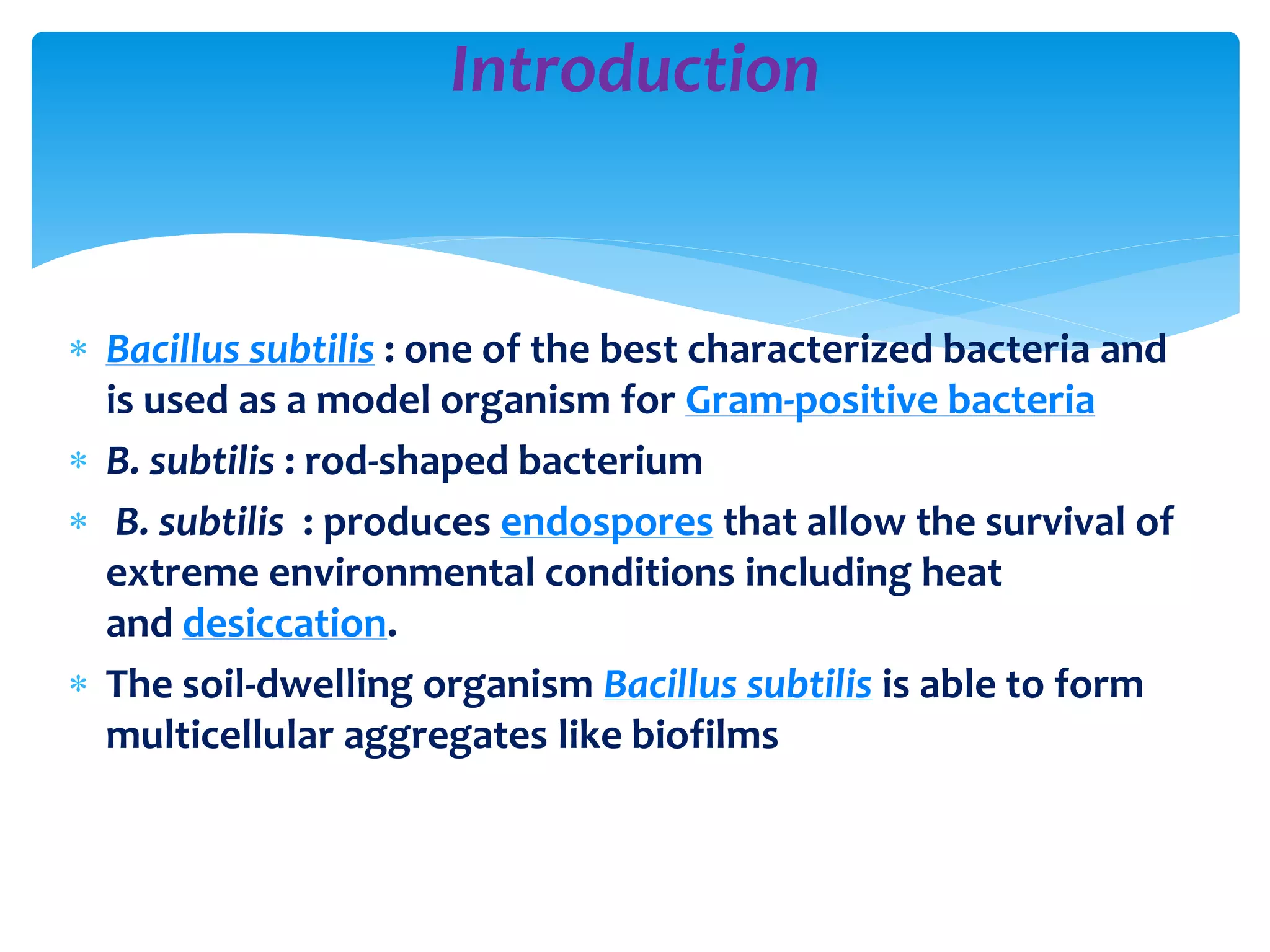 Bacillus subtilis | PPTX