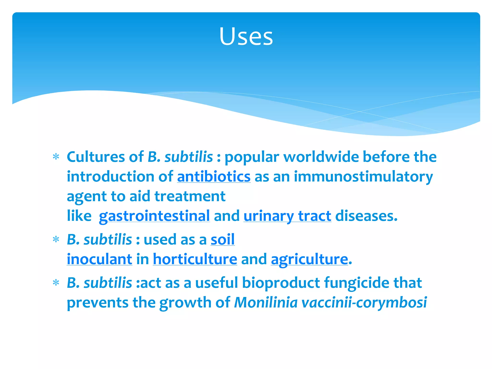 Bacillus subtilis | PPTX