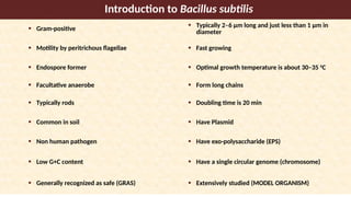 Bacillus subtilis: INTRO, CLASSIFICATION, SPORULATION, REASONS ...