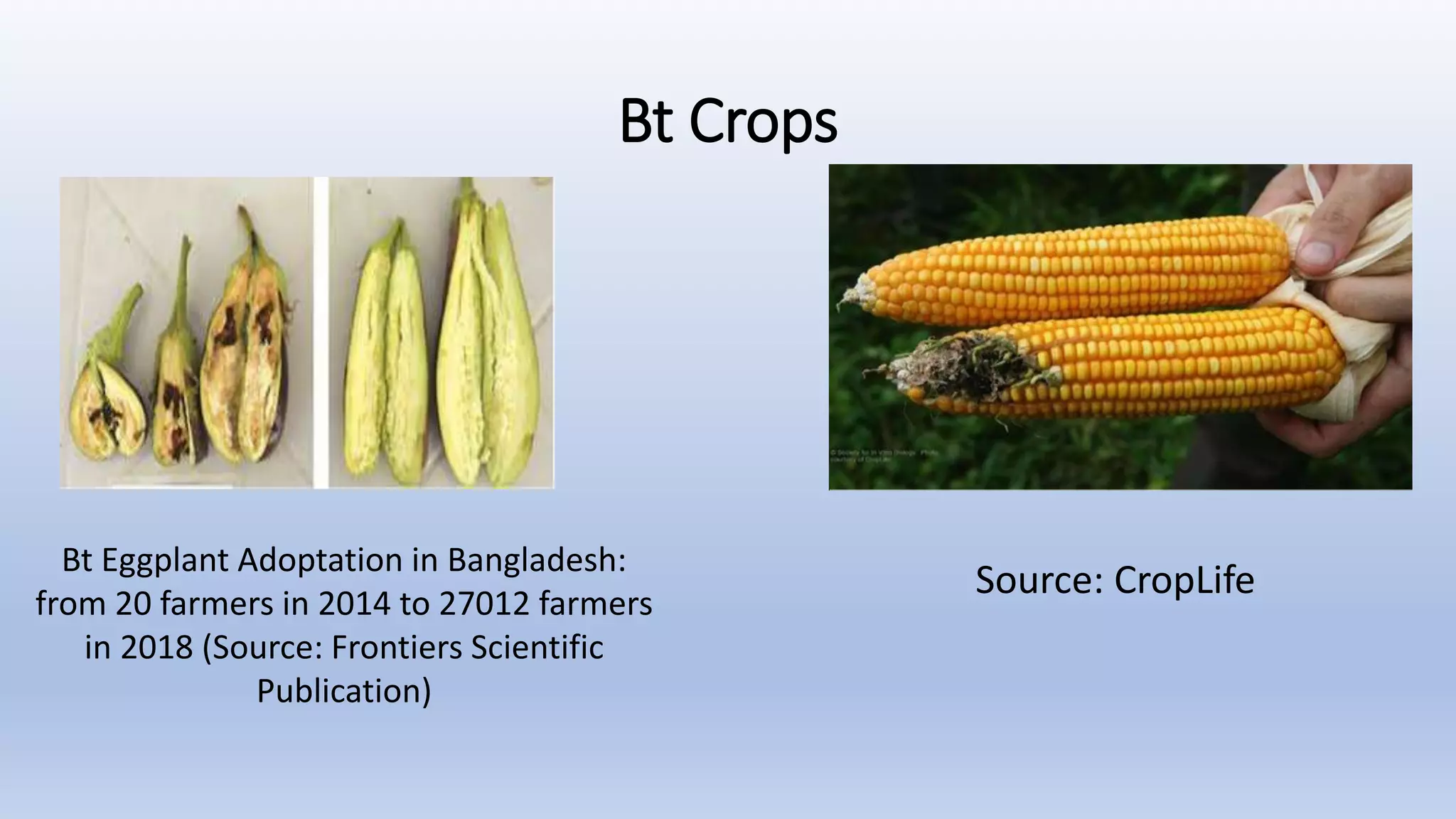 Bacillus thuringiensis: Story of an Entomopathogen | PPTX
