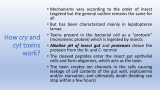 Bacillus thuringiensis: Story of an Entomopathogen | PPTX
