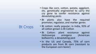 Bacillus thuringiensis: Story of an Entomopathogen | PPTX