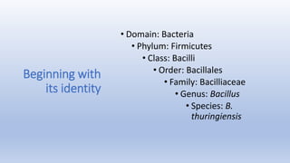 Bacillus thuringiensis: Story of an Entomopathogen | PPTX