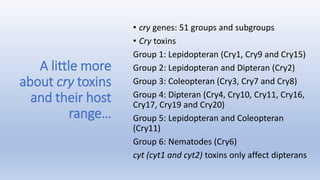 Bacillus thuringiensis: Story of an Entomopathogen | PPTX