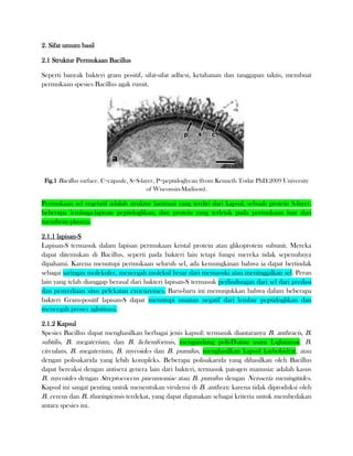 Genus Bacillus | PDF