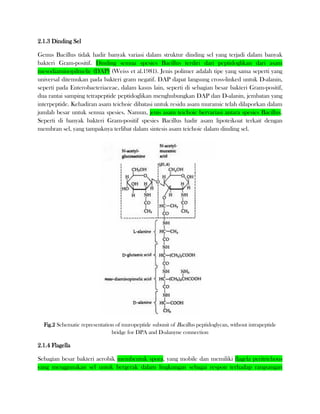Genus Bacillus | PDF