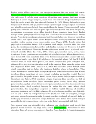 Genus Bacillus | PDF