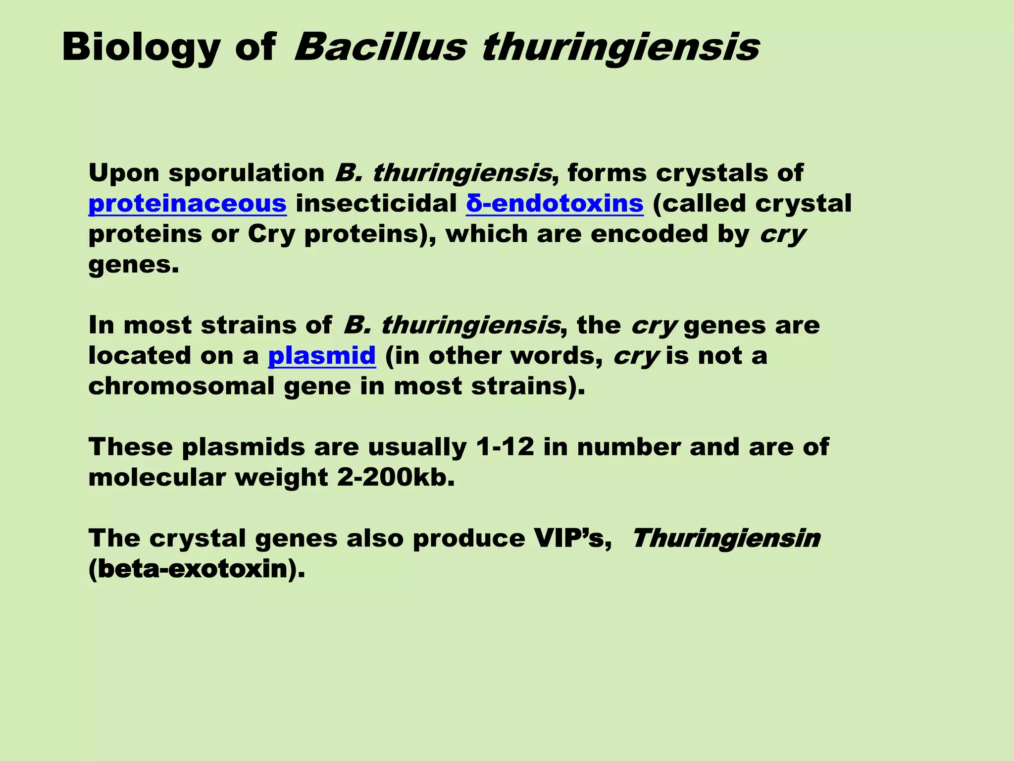 Bacillus Thuringiensis 2013ppt