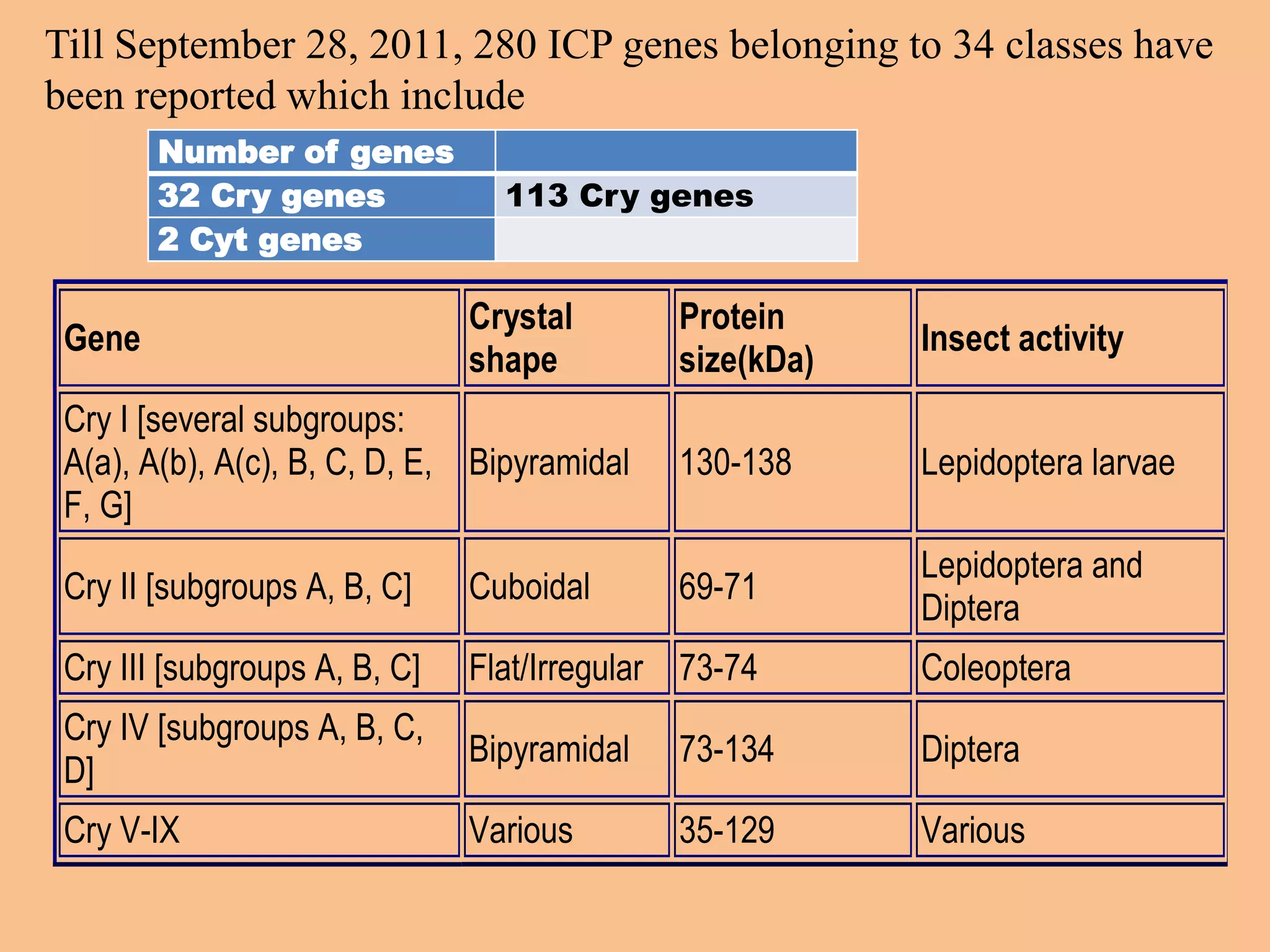 BACILLUS THURINGIENSIS 2013.ppt