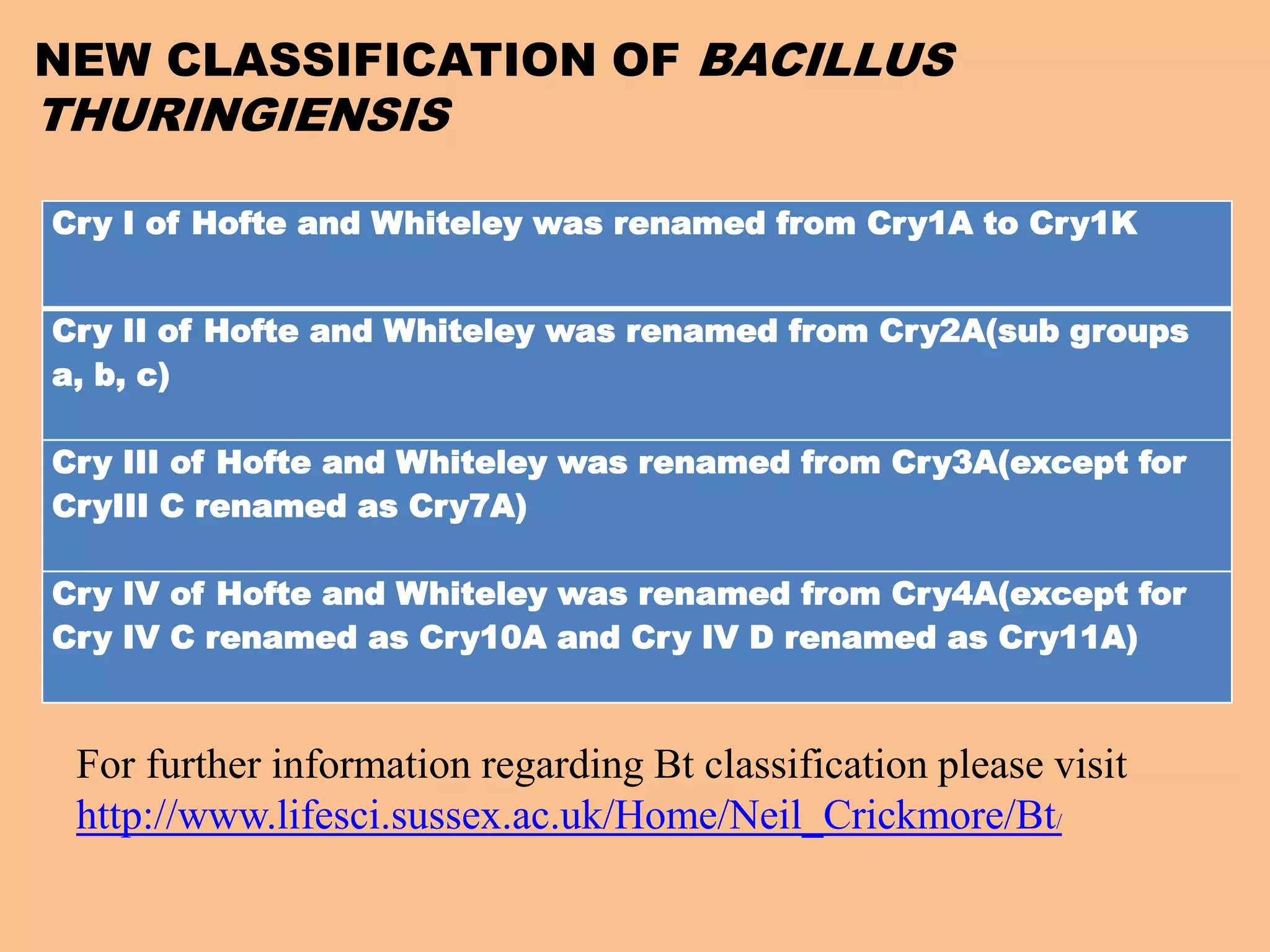 Bacillus Thuringiensis 2013ppt