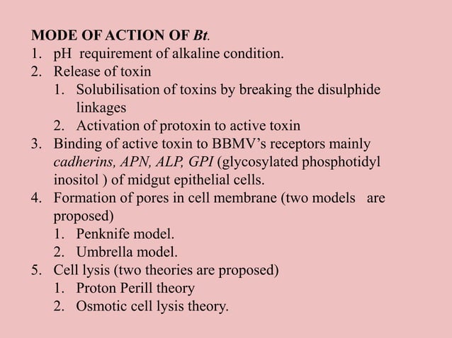 BACILLUS THURINGIENSIS 2013.ppt | Chemistry | Science