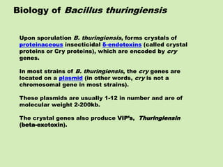BACILLUS THURINGIENSIS 2013.ppt