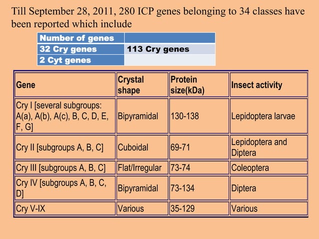 BACILLUS THURINGIENSIS 2013.ppt | Chemistry | Science